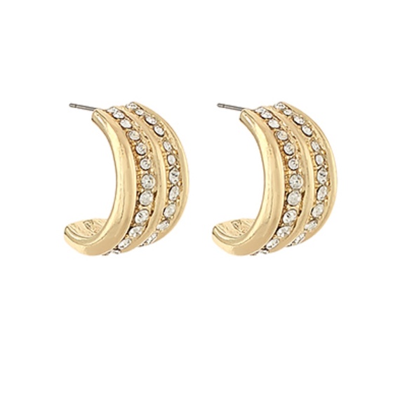 Fleurish Jewelry | Jewelry | Pave Double Layered Hoops | Poshmark